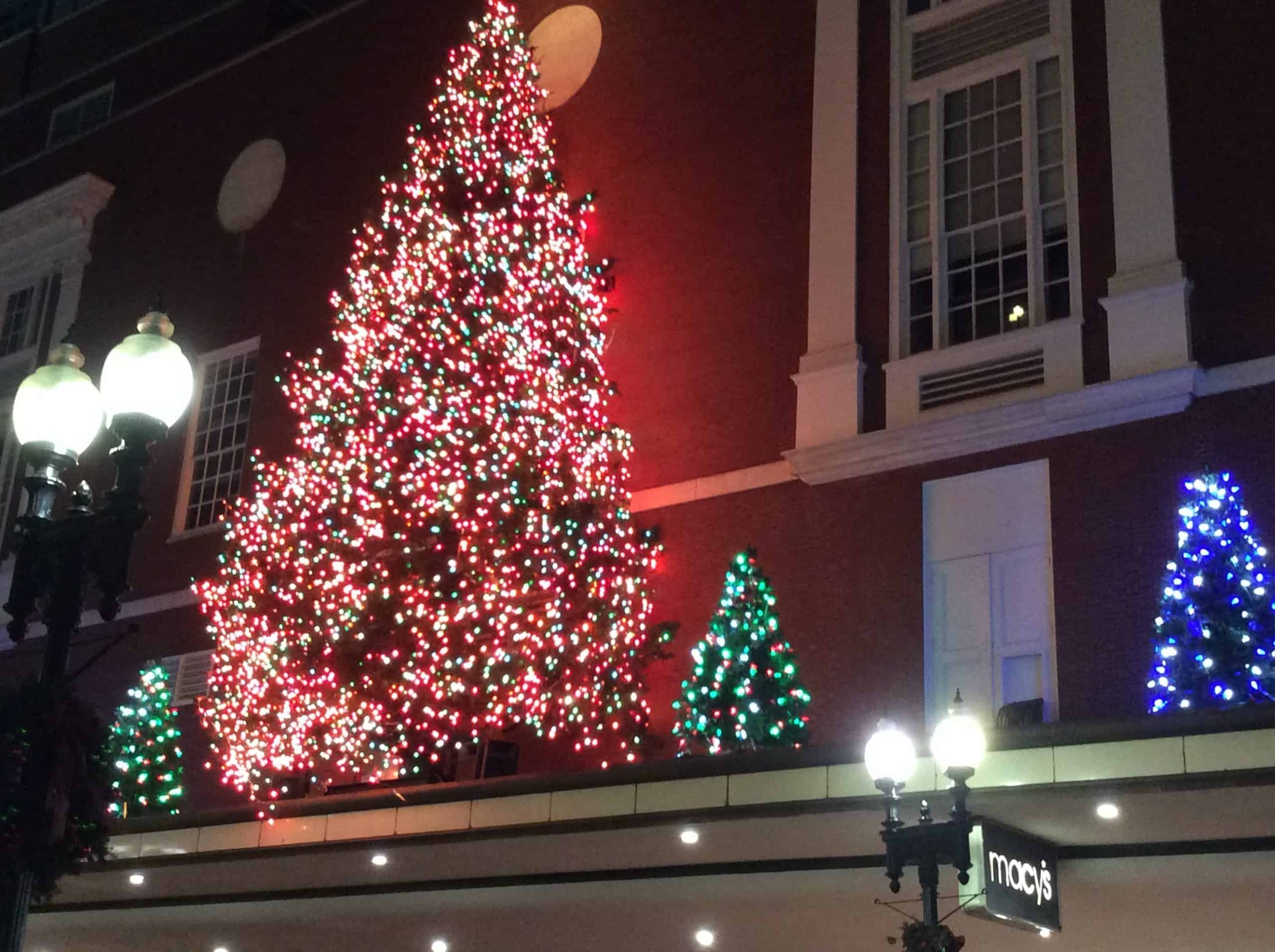 Top 14 Free Boston Walking Tours | Free Tours by Foot