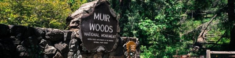 How to Take the Muir Woods Shuttle from San Francisco