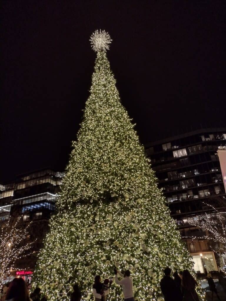 Washington DC Holiday Lights Tours