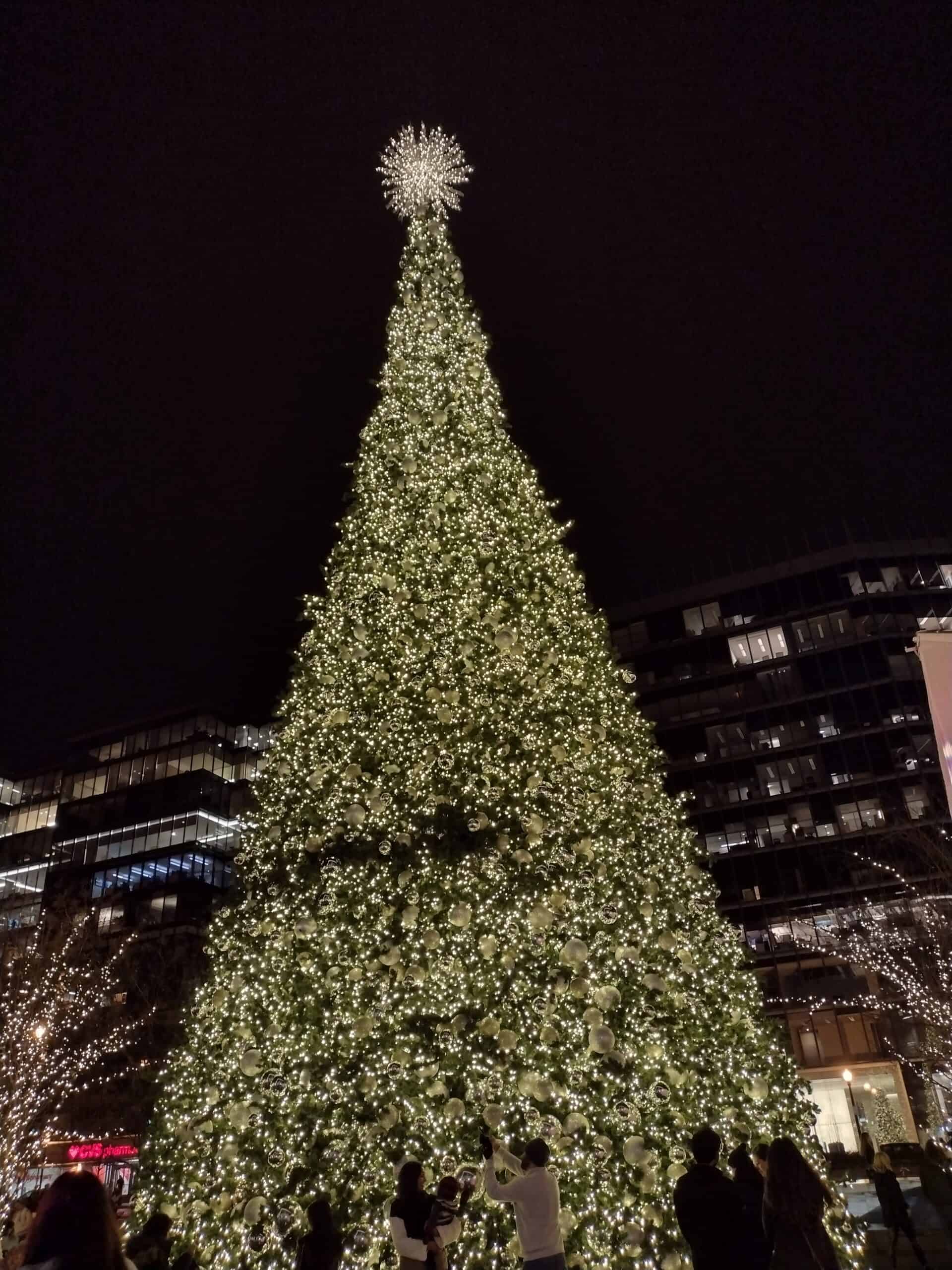 Best Places to see Holiday Lights in DC | Free Tours by Foot