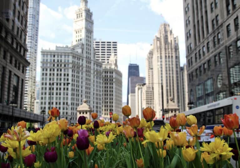 When is the Best Time to Visit Chicago? It Depends!