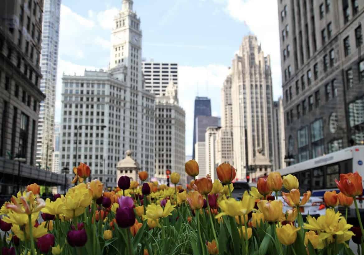When is the Best Time to Visit Chicago? It Depends!