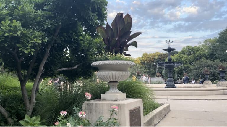 Is Chicago Safe to Visit? | How Dangerous is Chicago Really?