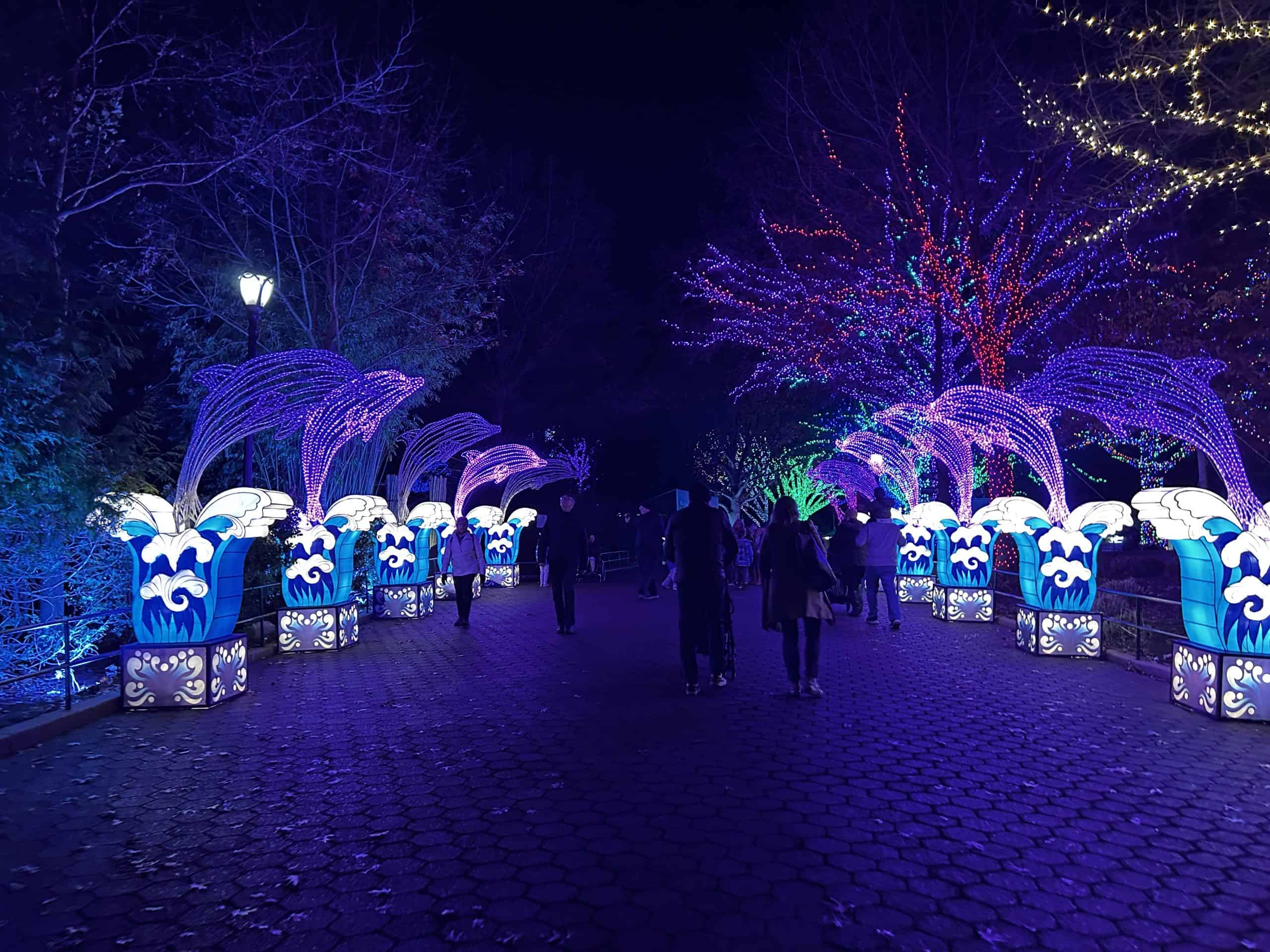 Is the Smithsonian Zoolights Worth It?