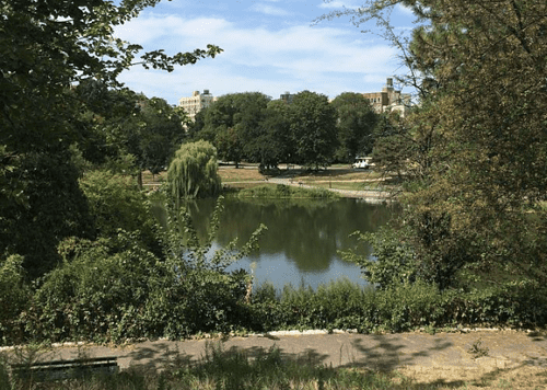 30 Things to See and Do in Central Park (From Local Tour Guides)