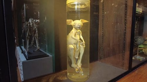 24 Weird and Unusual Museums in London