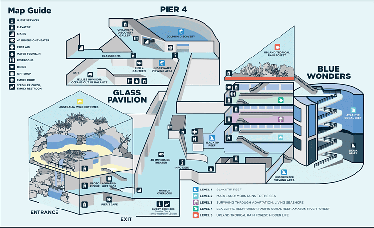 Visiting the National Aquarium | Tours by Foot