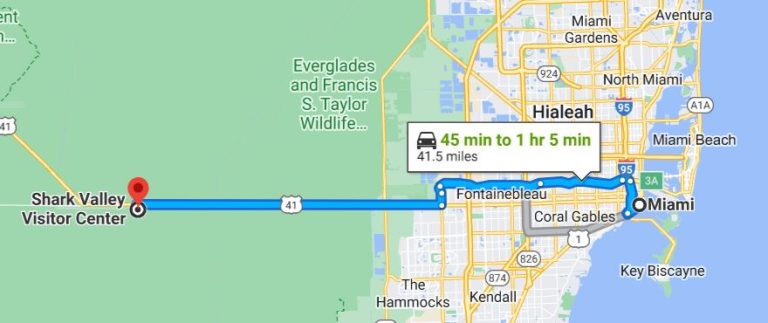 How to Get From Miami to Everglades National Park