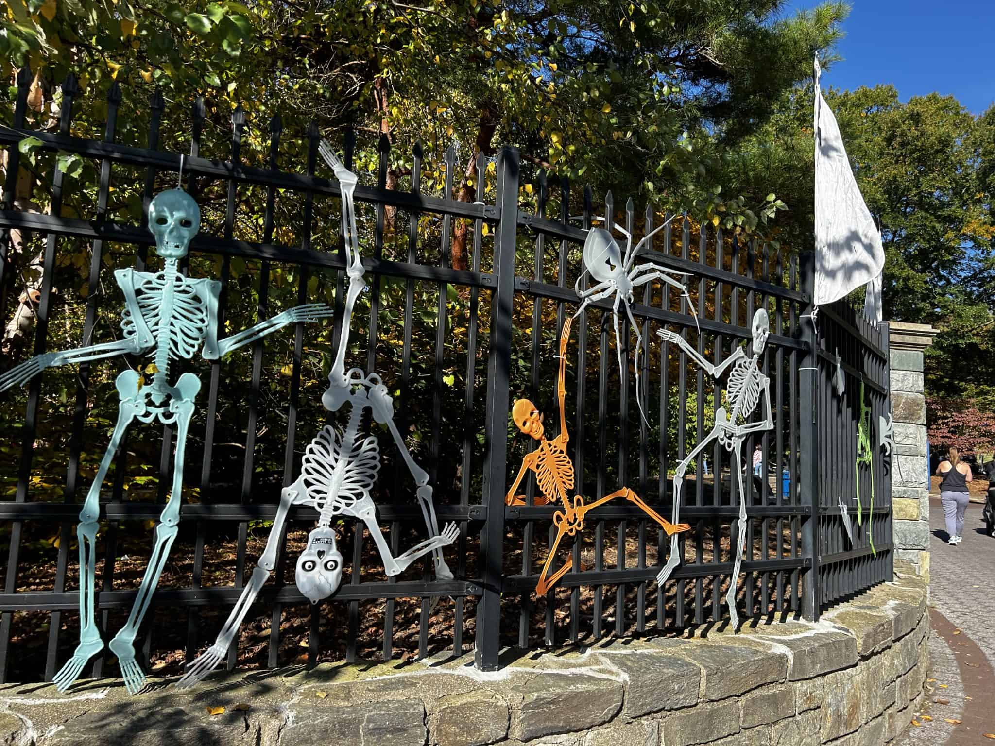 Visiting the Smithsonian National Zoo