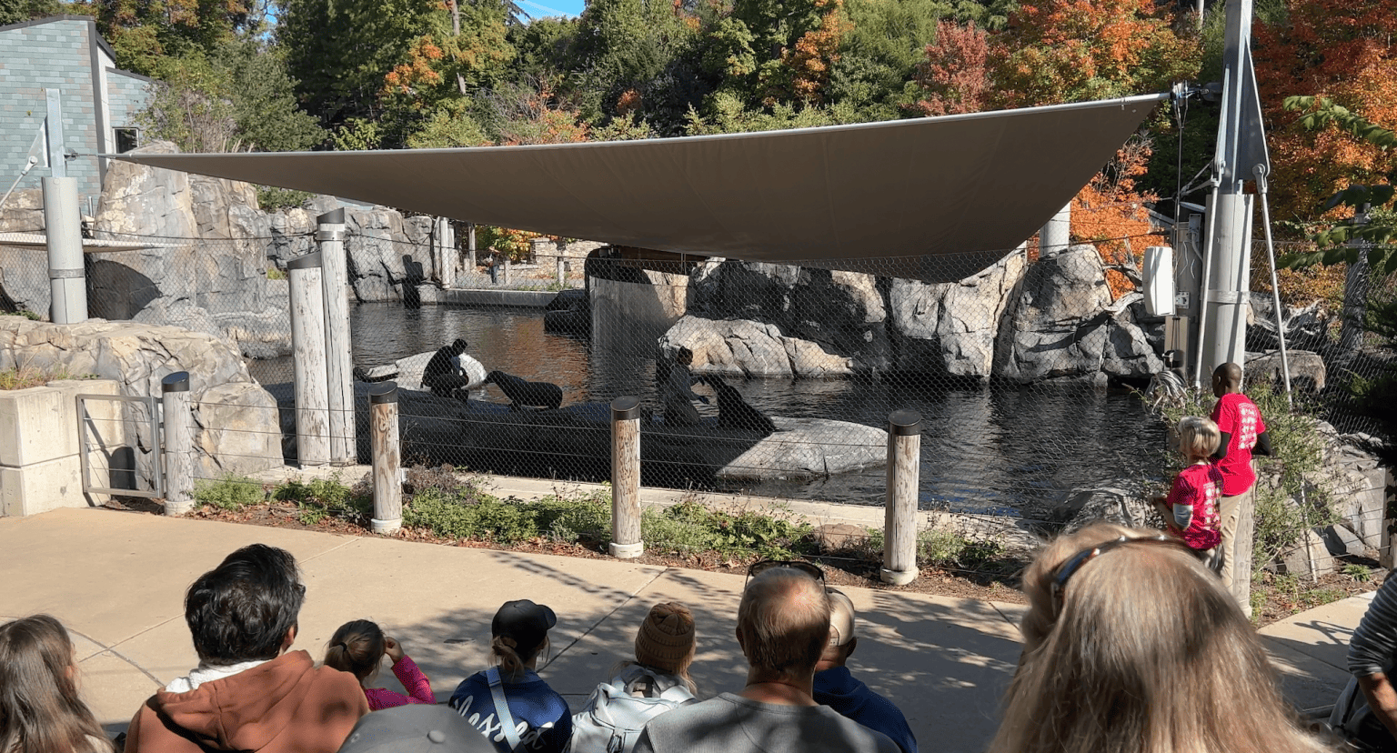 Visiting the Smithsonian National Zoo