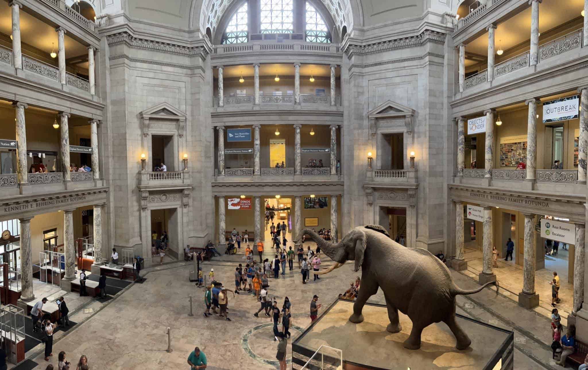 Smithsonian Museum Tours