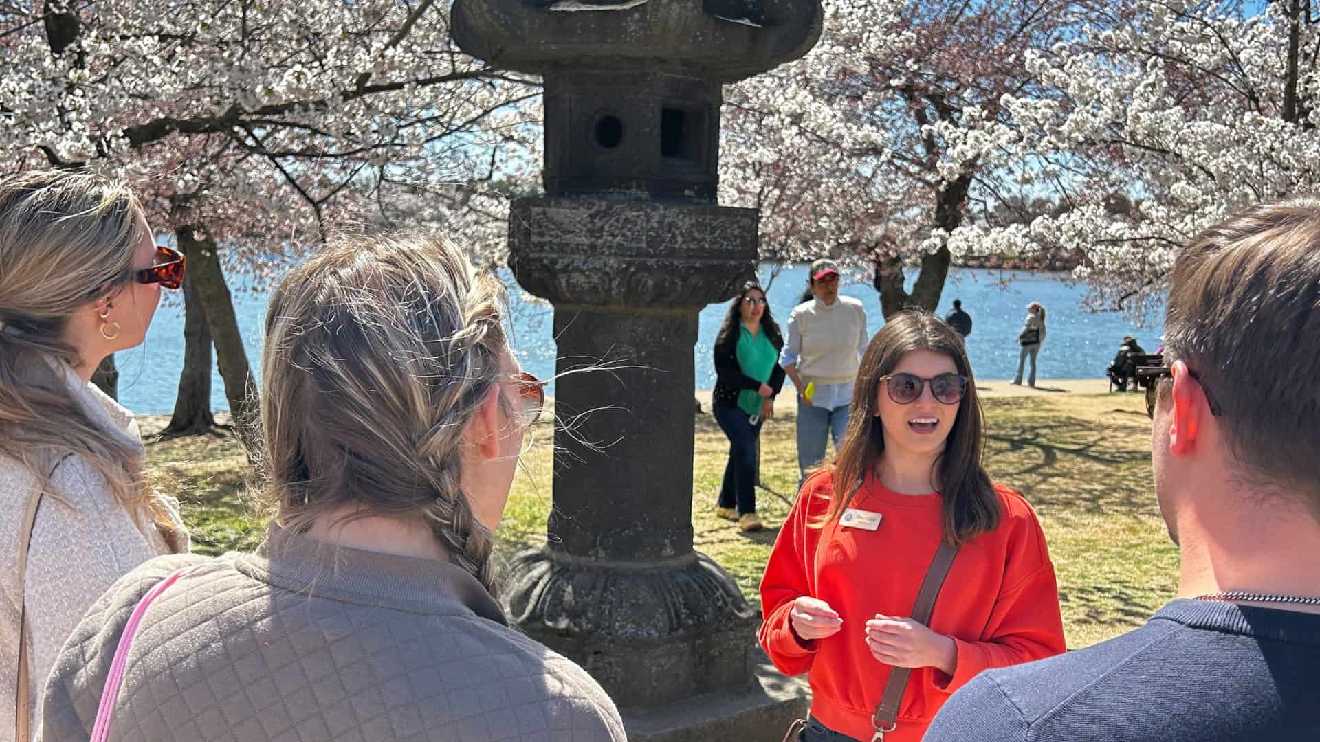 The 6 Best Cherry Blossom Tours in DC (By Foot, Bus, and Bike!)