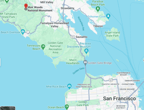 How to Take the Muir Woods Shuttle from San Francisco