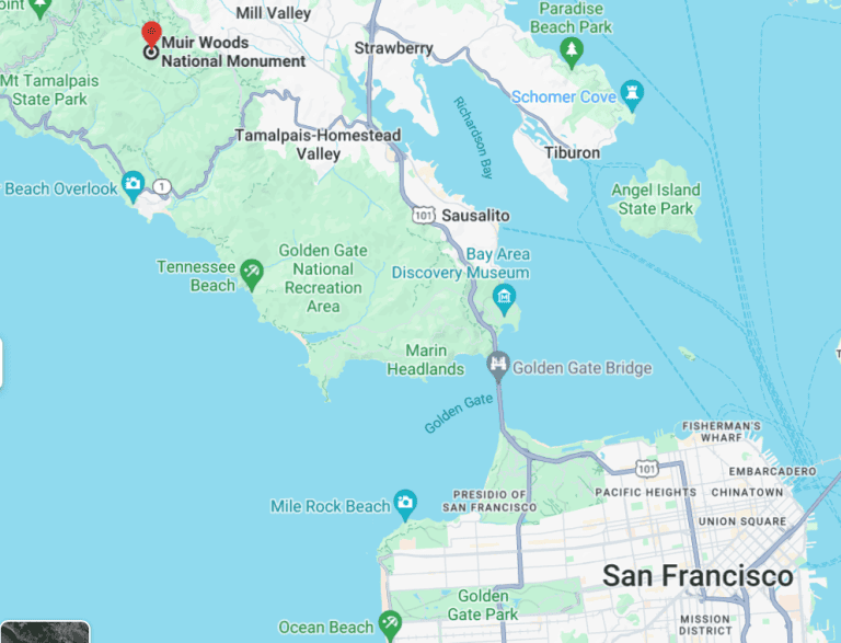 How to Take the Muir Woods Shuttle from San Francisco