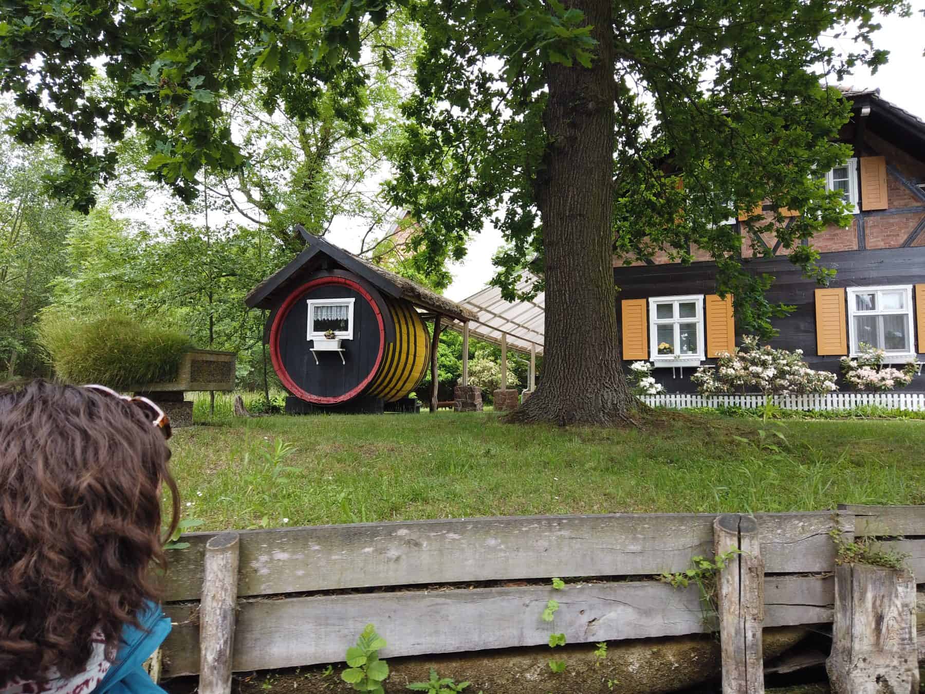 How to Take a Berlin to Spreewald Daytrip